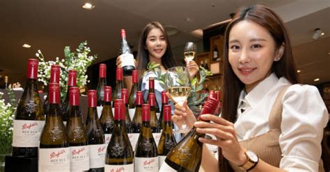 포토 펜폴즈 빈 311 샤르도네 300병 한정판매