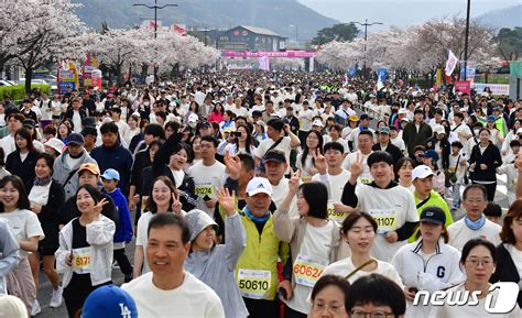 제31회 경주벚꽃마라톤 출발합니다 뉴스1