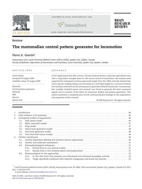 Pdf The Mammalian Central Pattern Generator For Locomotion