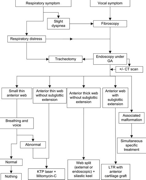 The Anterior Laryngeal Webs Otolaryngologic Clinics Of North America