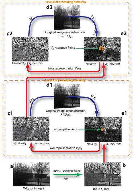 Modular Predictive Coding And Image Reconstruction After Learning A
