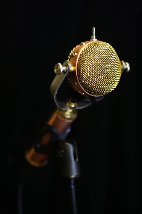 Custom Microphone