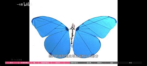 仿生蝴蝶 SOLIDWORKS 2018 模型图纸下载 懒石网