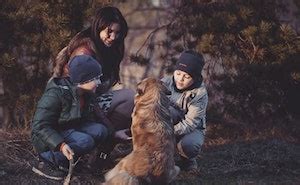 Demo Php Responsive Image Gallery Using Css Media Queries