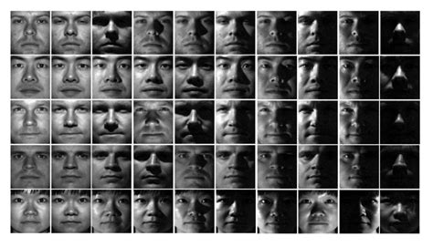 Example Of High Dimensional Data Sample Images Of People Each Download Scientific