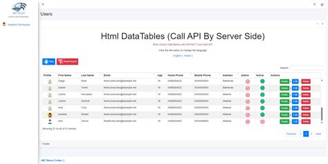 Html Datatable With Api By Adamjad Codester
