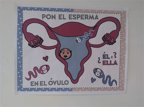 Pin On Fiesta Revelaci N Sexo Beb