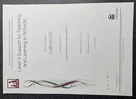 Where To Buy CACHE Certificate Realistic Certificate Buy Fake