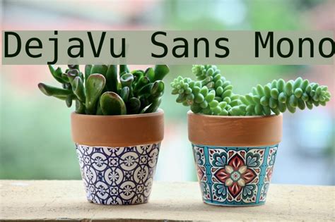 Dejavu Sans Mono Font