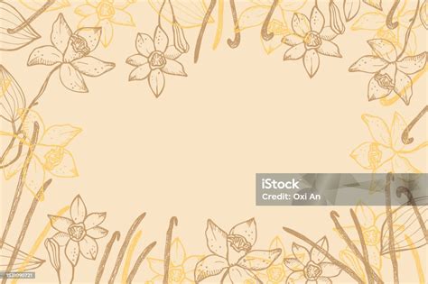 바닐라 레이블 템플릿 배경입니다 꽃과 바닐라 식물 벡터 그림의 꼬투리 향기로운 향신료 라벨 향신료 포장 로고 카드 배너 손으로 그린 디자인 요소 꽃 식물에 대한 스톡 벡터