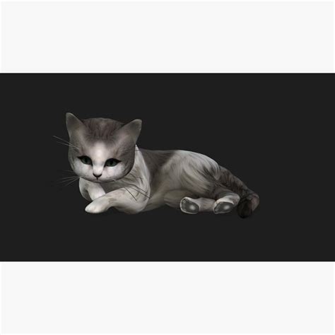 Cat A2 3d 모델 다운로드 포유류 On