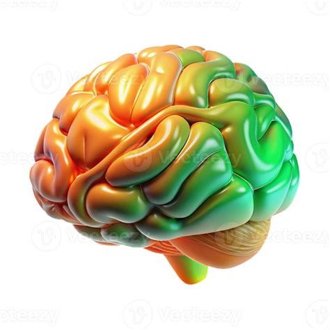 Extraordinary Modern A Holographic Projection Of A Human Brain Rotating Slowly And Displaying