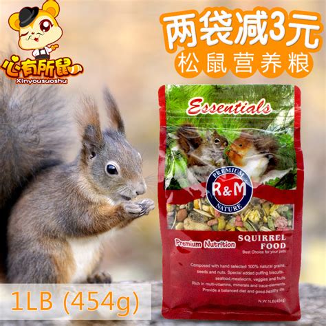 松鼠屯粮食图片 小松鼠屯粮图片 松鼠存粮 大山谷图库