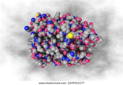 Estrogen Related Receptor Gamma Ligand Binding Domain Stock Illustration 2249922177 Shutterstock
