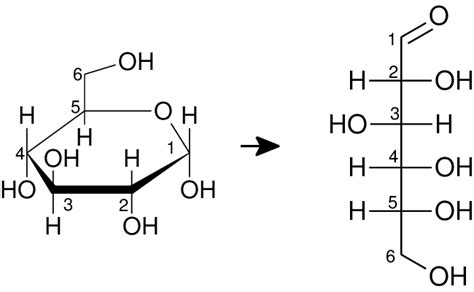 Scheme 2 Ring Opening Of Glucose Molecule Carbon Atoms Are Labelled