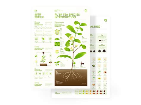 信息可视化设计案例 创意设计作品图片素材 站酷zcool