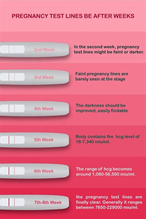 Should Pregnancy Test Lines Get Darker Week By Week Pregnancy Kit