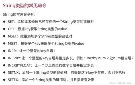 Redis数据库的入门学习 Csdn博客