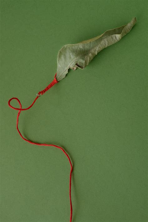 String Theory — Aya Takashima