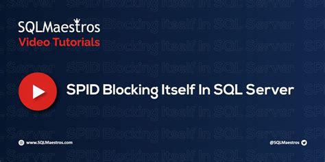 Sqlmaestros On Linkedin Sqlserver