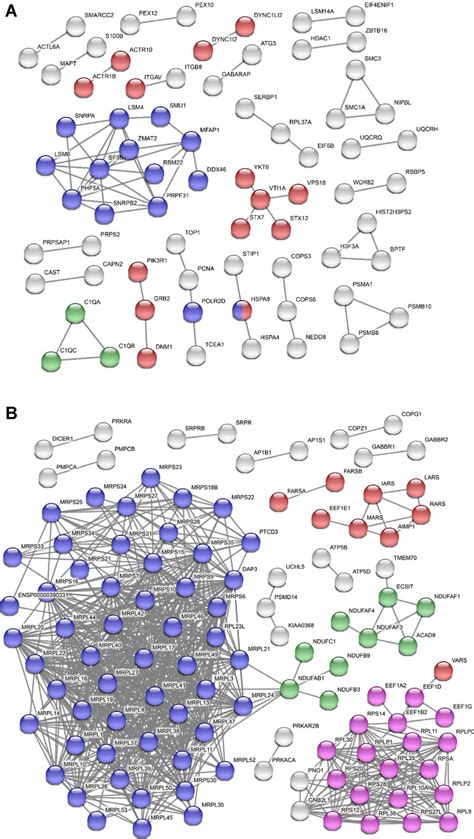 String Ppi Analysis Of The Differentially Expressed Proteins In Pd A