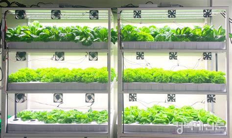 잠들지 않는 농장 스마트팜을 소개합니다