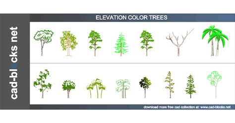 Vegetation Cad Blocks Color Trees In Plan Elevation