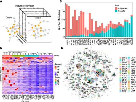 Multiscale Network Modeling Reveals The Gene Regulatory Landscape