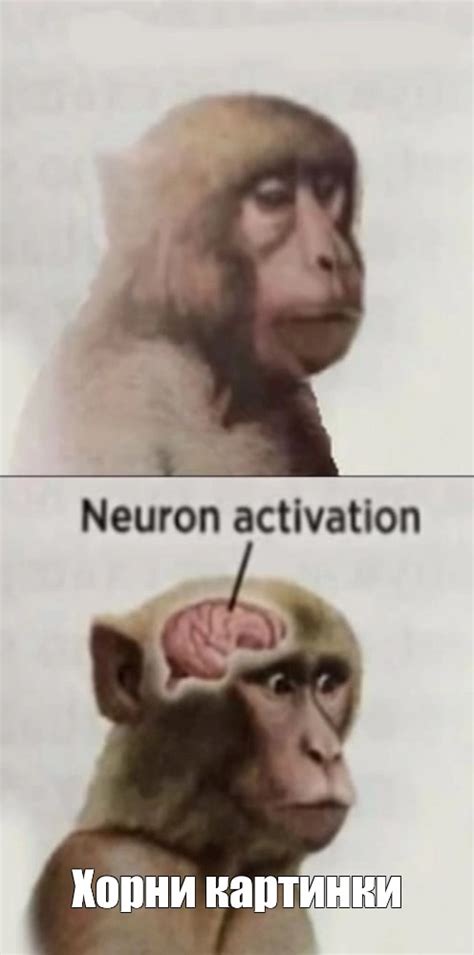 Create Meme Neuron Activation Meme Meme Monkey Neuron Activation