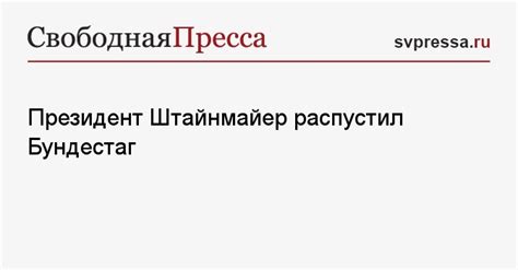 Президент Штайнмайер распустил Бундестаг Свободная Пресса Новости Германии Германия новости
