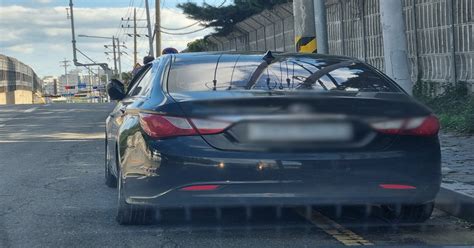 포항시 불법 주·정차 단속 과태료 한시적 면제 위키트리