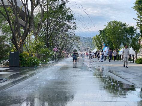 카메라 촬영의 기본 3요소 Feat Iso 셔터 스피드 조리개 값