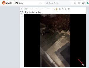 How To Get Sound On Reddit Full Guide