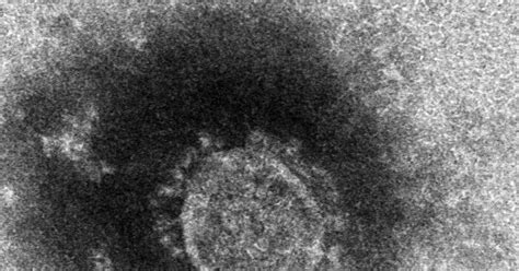 佐賀県で4人が新たに感染 唐津市の病院でクラスター発生西日本新聞me