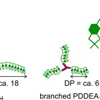Schematic Illustration Of Designed Polymers Download Scientific Diagram