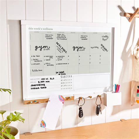 Wellness Wall Organization Center Insert Board Erin Condren