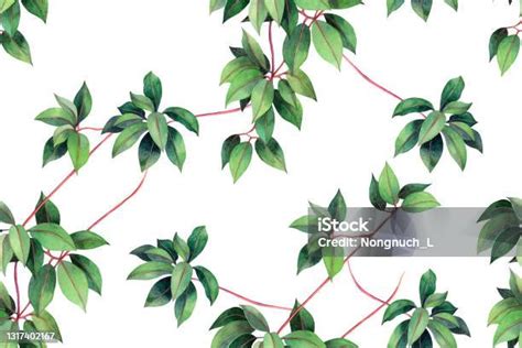 수채화 아이비 그린은 매끄러운 패턴 배경을 남깁니다 수채화 손으로 그린 일러스트 트로피아 이국적인 잎 인쇄 벽지 직물 하와이