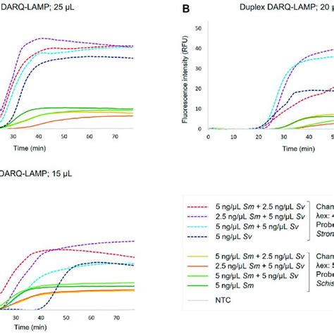 Duplex Darq Lamp For Simultaneous Amplification Of Gdna From