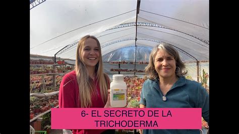 5 El Secreto De La Trichoderma Youtube
