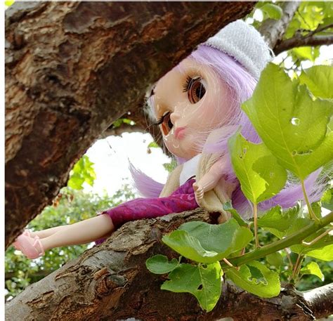Blythe Doll In Tree Blythe Dolls Dolls Blythe