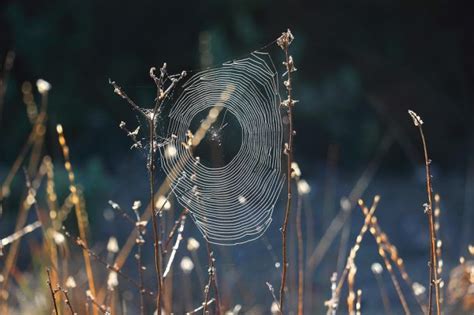 Scaling Your Business When To Invest In Custom Web Application