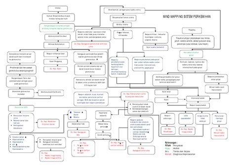 Mind Mapping Sistem Perkemihan Pdf