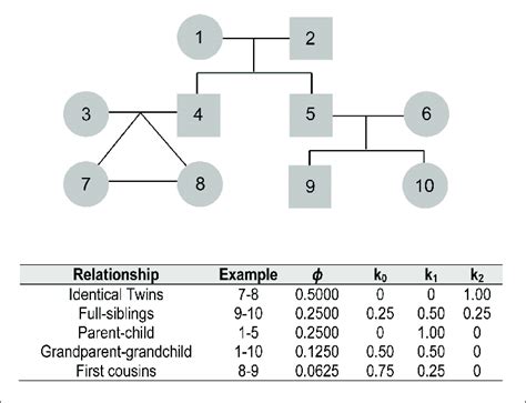 Ano Ang Consanguinity At Ang Mga Degrees Of Consanguinity Aralipunan