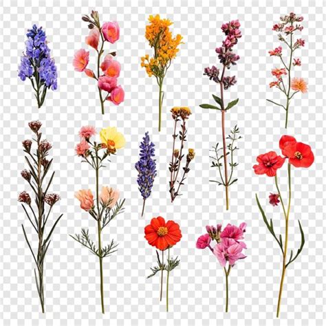8 페이지 꽃 도안 Psd 개 이상의 고품질 무료 Psd 템플릿 다운로드 가능 Freepik