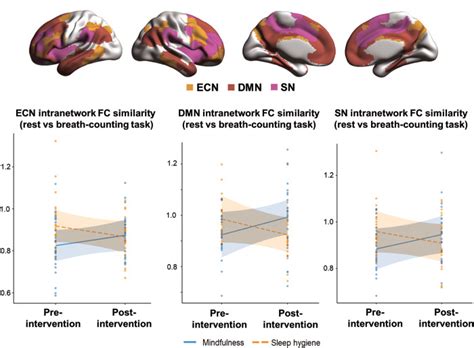Mindfulness Based Therapy Improves Brain Functional Network
