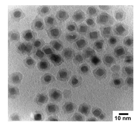 Core Shell Core Shell Nanocomposites Polymer Inorganic Materials