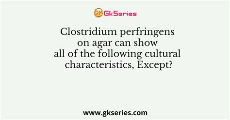 Clostridium Perfringens On Agar Can Show All Of The Following Cultural Characteristics Except