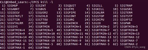 Linux信号处理：编号、函数与高级用法详解 Csdn博客