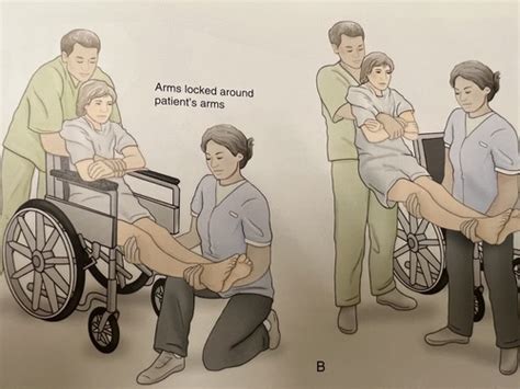 MODULE KEY POINTS Flashcards Quizlet