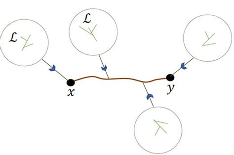 The Tree T And The Path Between X And Y With The Leaves Coming To Download Scientific Diagram